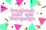 Build an professional facebook paid ads campaign